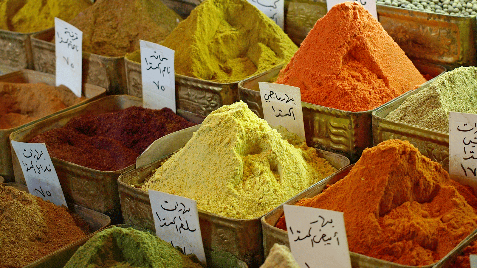 Dansk samtale (B1+) - online